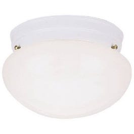 8-Inch Ceiling Light Fixture - Milford, MI - South Lyon, MI - Whitmore ...